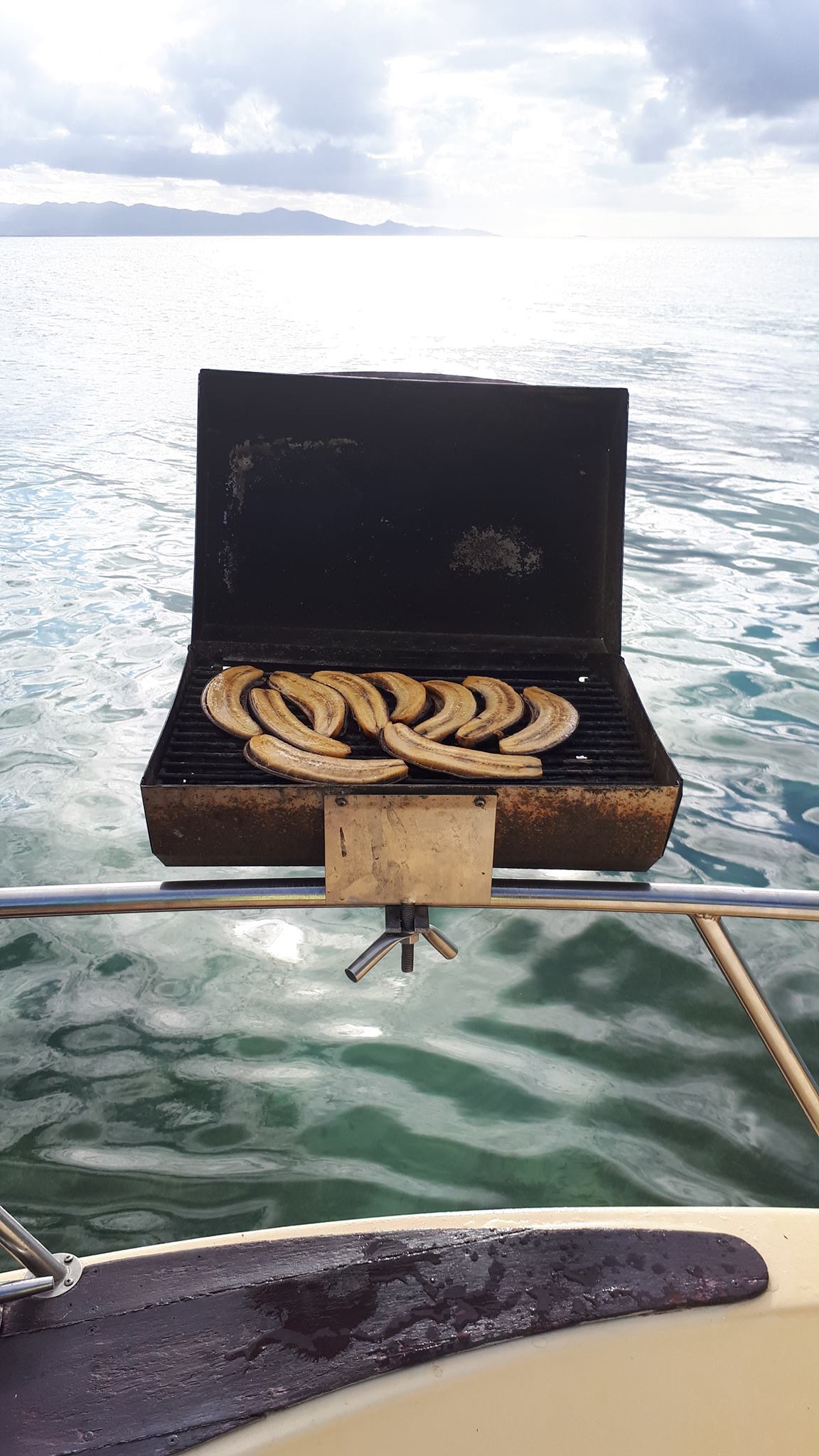 Ti-Yot Bateau Électrique • Éco-Tourisme | Dynamo Tourisme