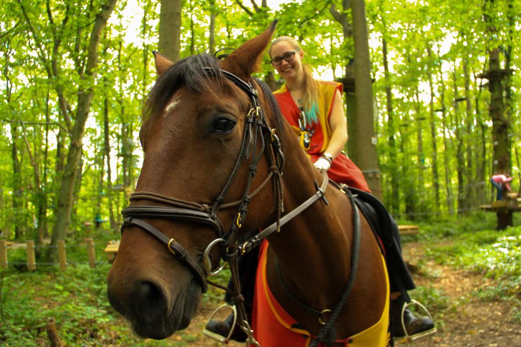 Sherwood Parc • Tourisme d'aventure | Dynamo Tourisme